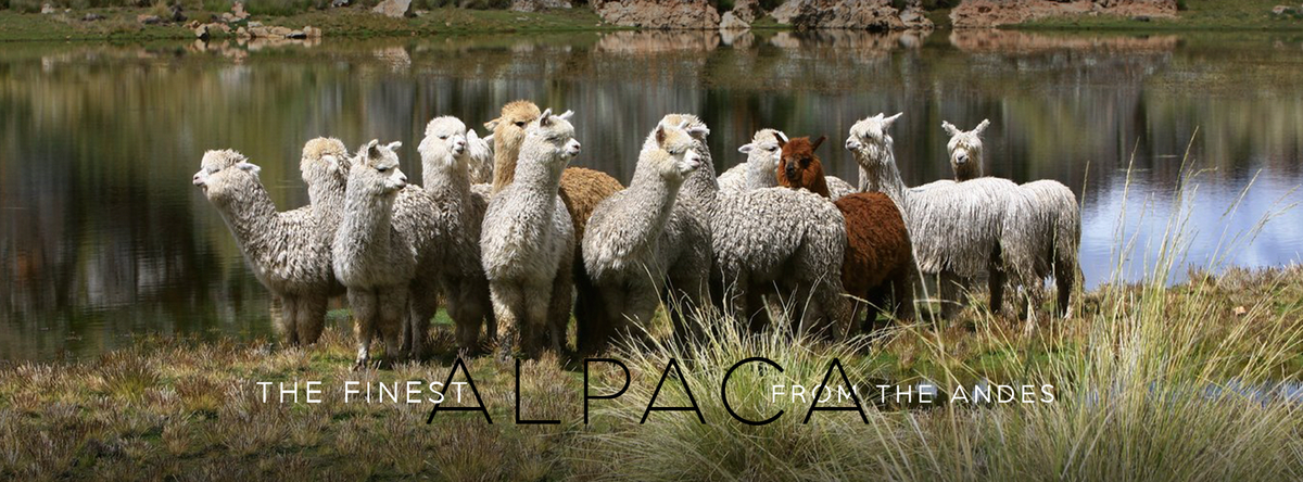 Sol Alpaca Australia Clothing Store